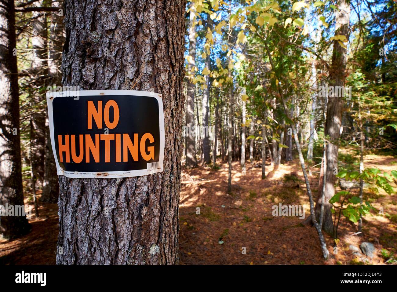 No Hunting Sign High Resolution Stock Photography and Images - Alamy