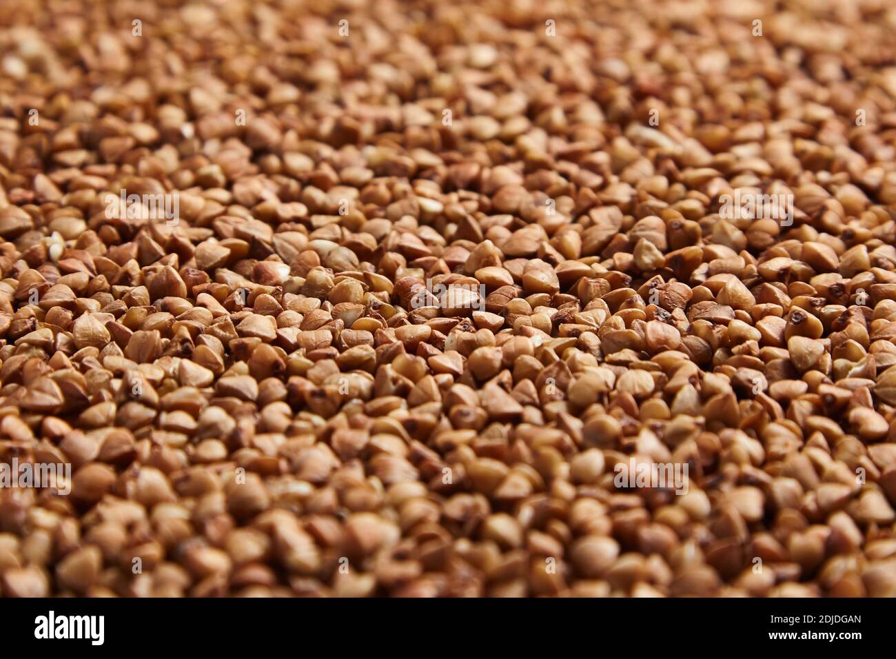 Buckwheat grains. Dry brown kernel as background Stock Photo - Alamy