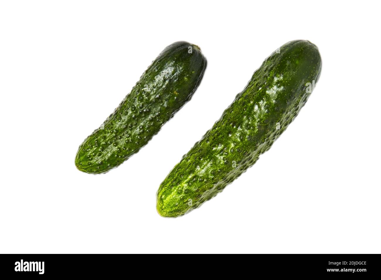 Two Cucumbers isolated on white background Stock Photo - Alamy