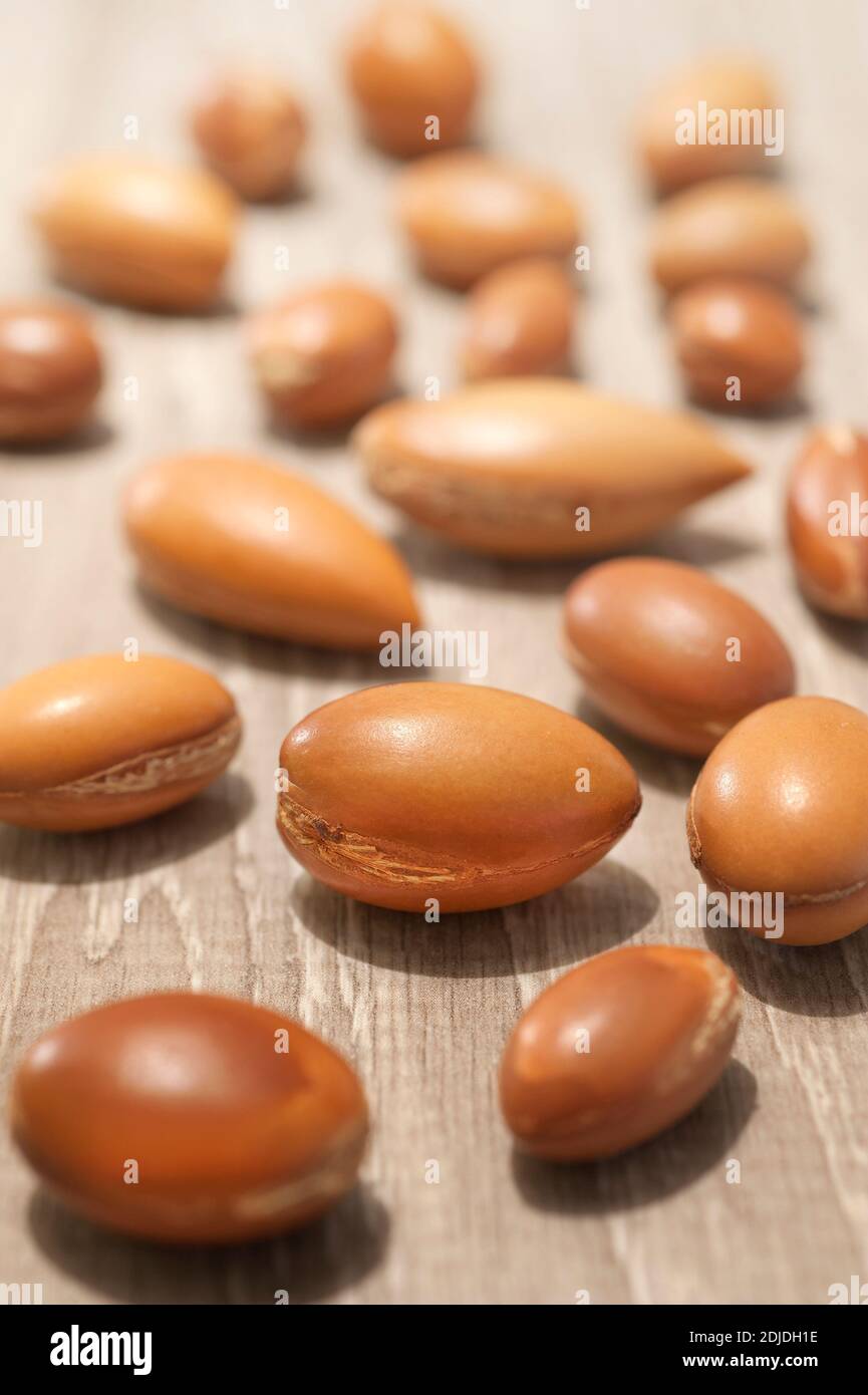 Argan tree plantation hi-res stock photography and images - Alamy