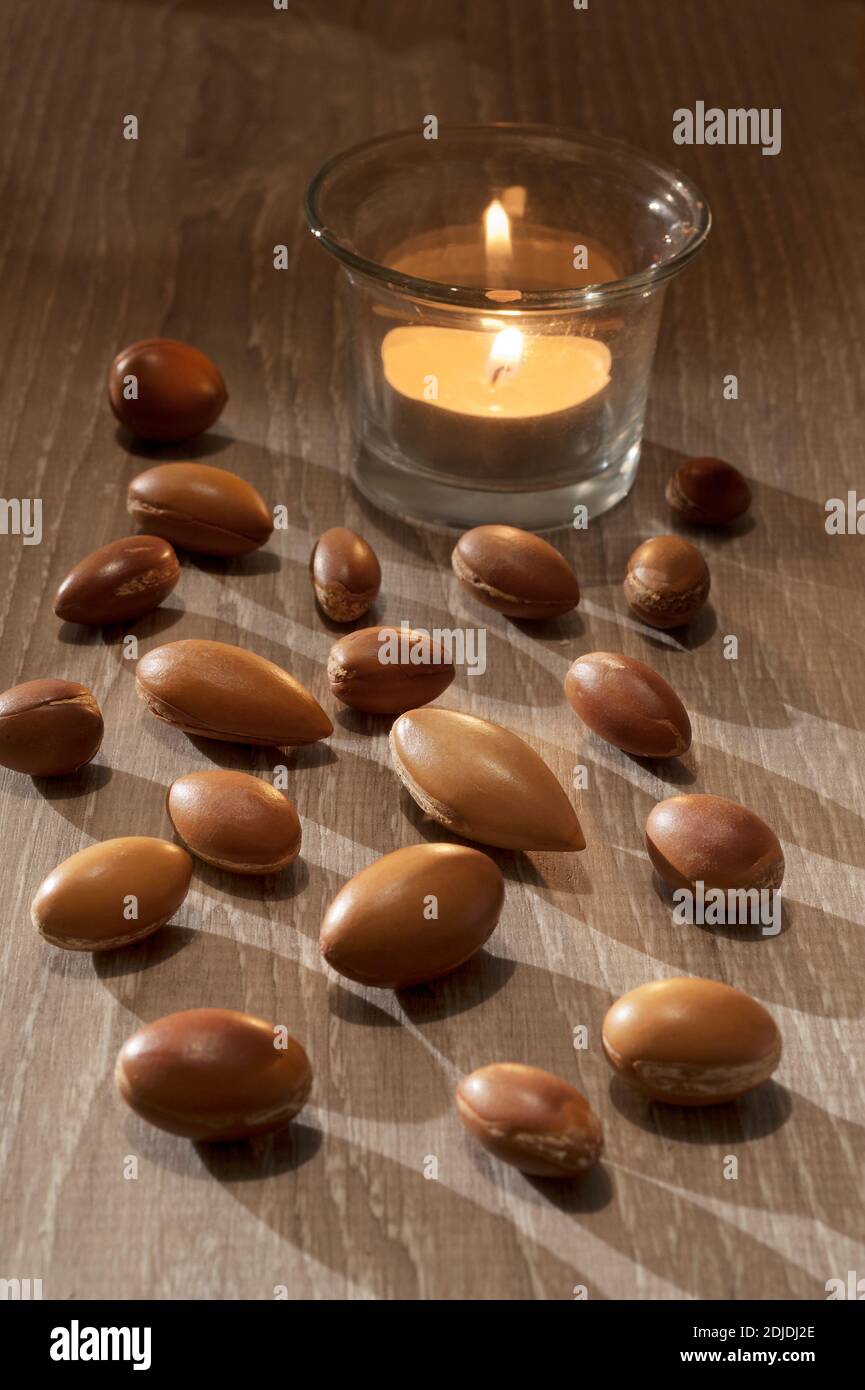 Argan tree seeds hi-res stock photography and images - Alamy