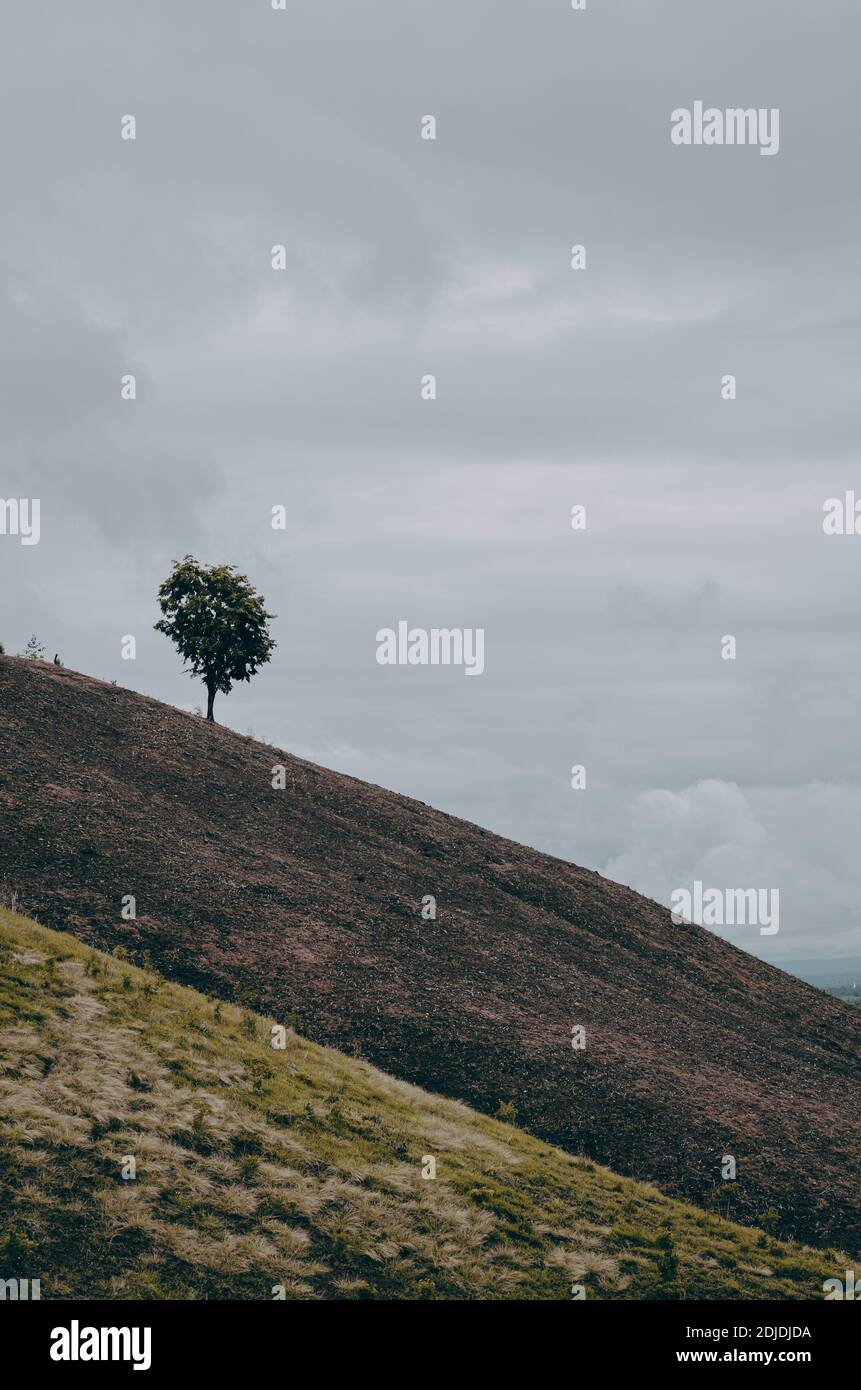 Single Tree On Mountain With White Cloud Stock Photo - Alamy