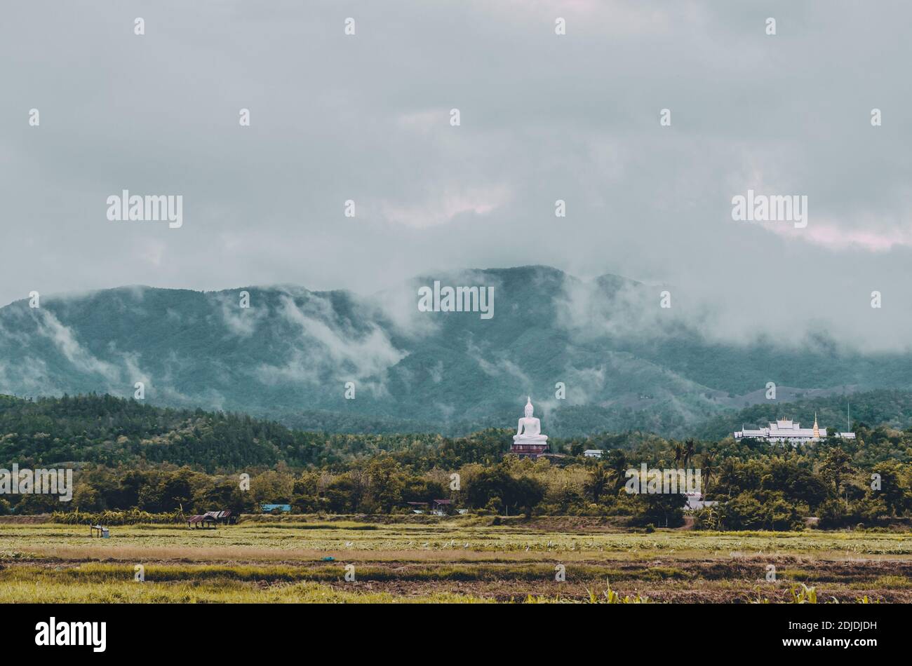 Natural scence hi-res stock photography and images - Alamy