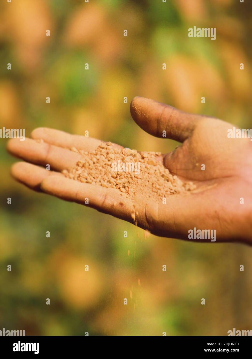 Soil test hand hi-res stock photography and images - Alamy