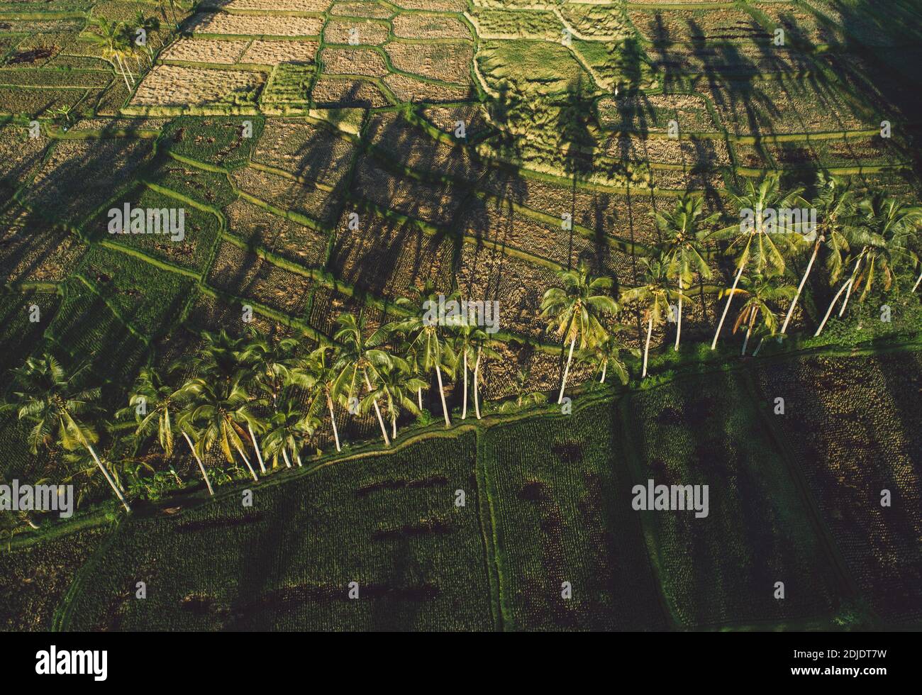 Aerial view terraced rice paddies hi-res stock photography and images ...