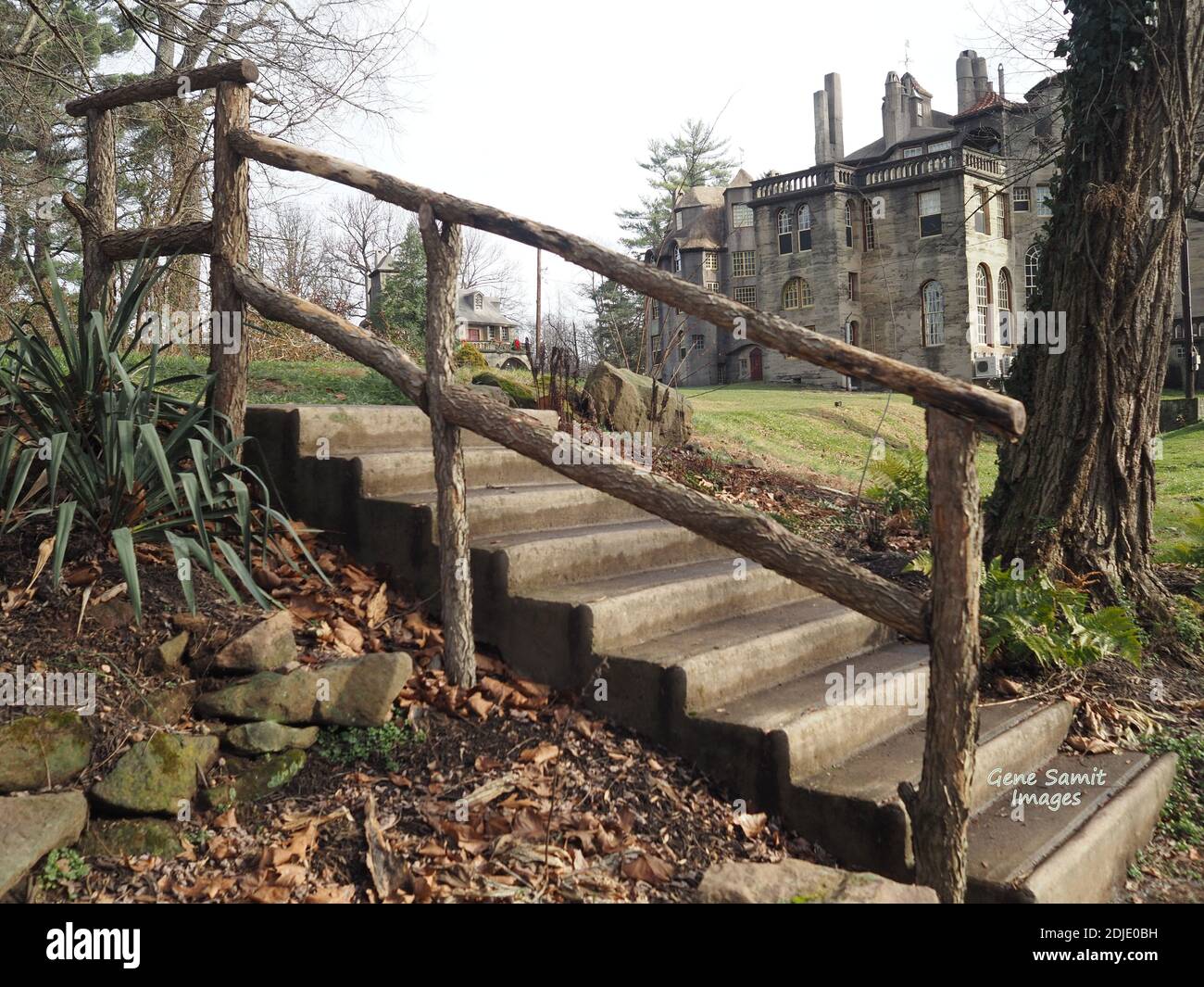 The railing is made from the trees as you climb the steps to the next ...