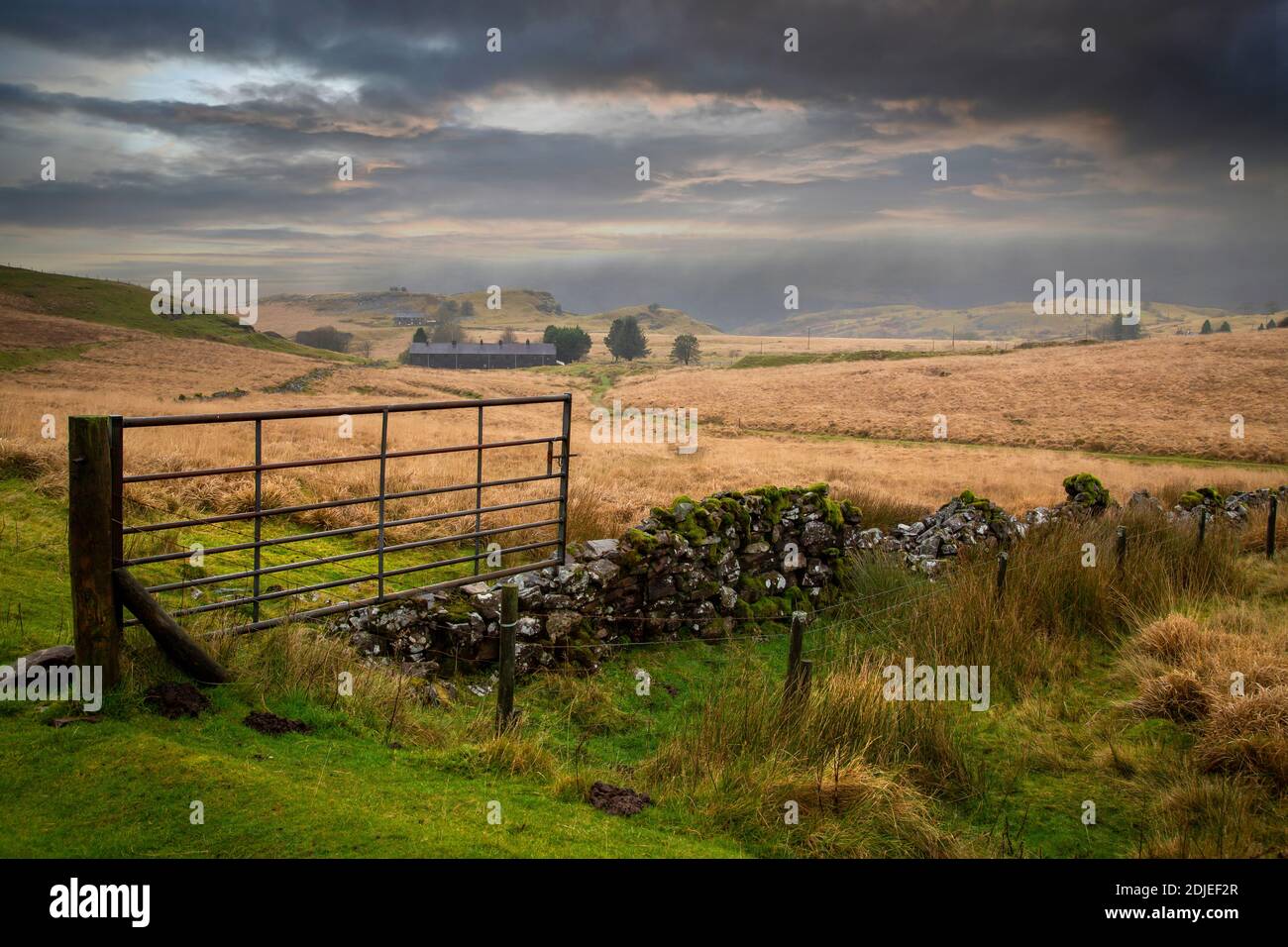 The rugged headland of Penwyllt Stock Photo - Alamy