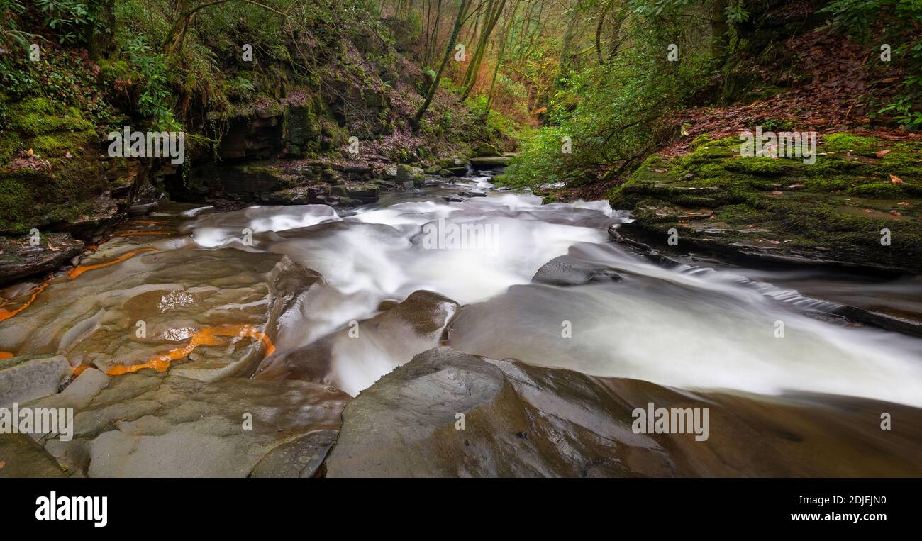 The Upper Clydach River in Pontardawe, Swansea Stock Photo - Alamy