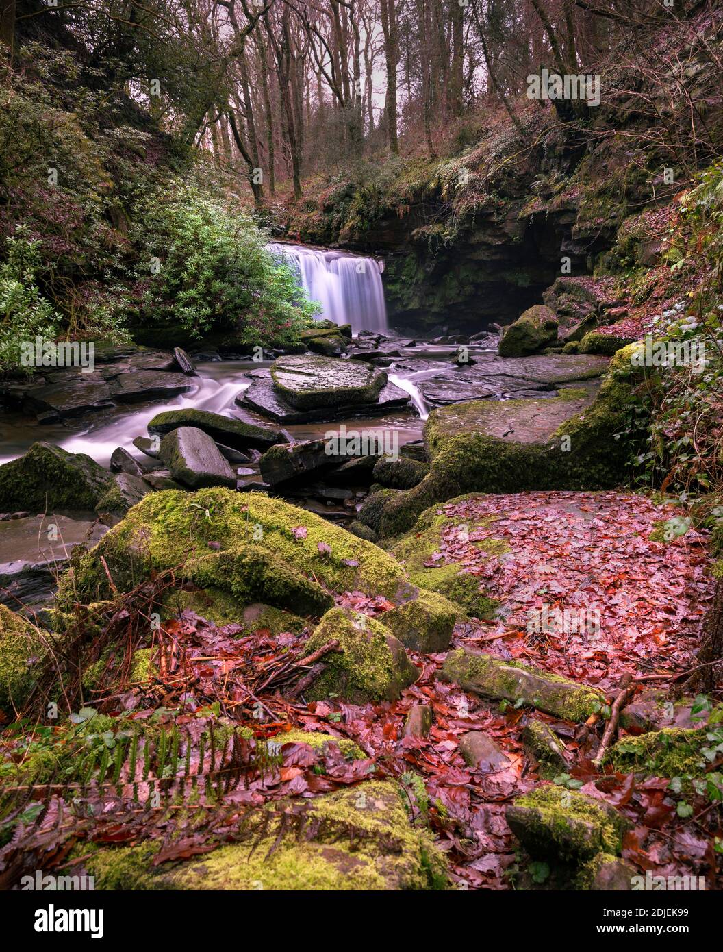 Clydach hi-res stock photography and images - Alamy