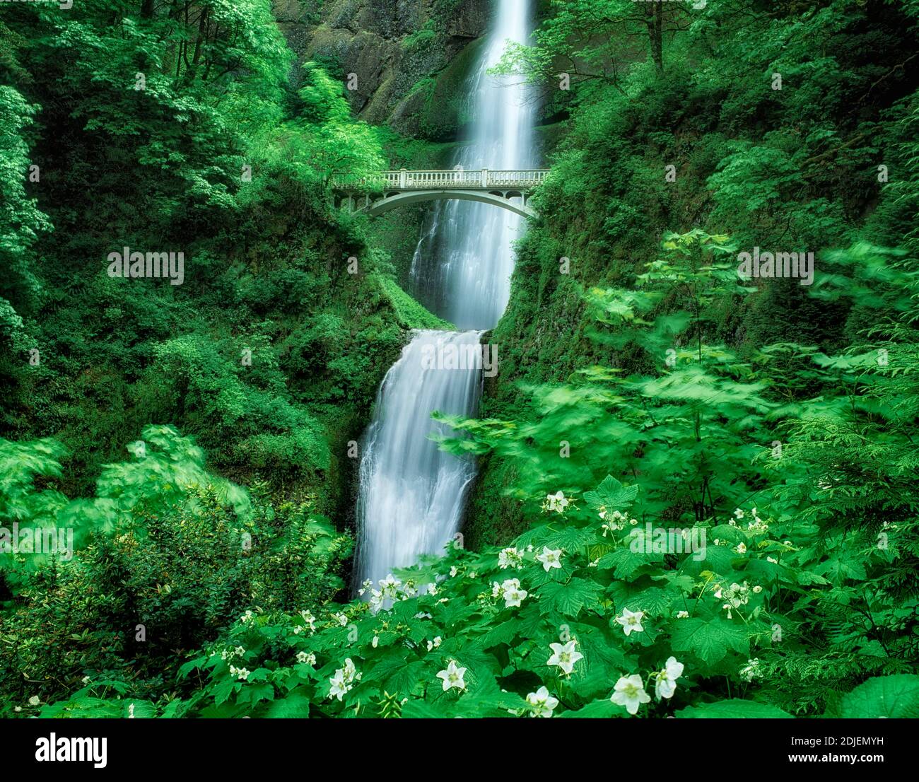 Majestic beautiful multnomah falls hi-res stock photography and images ...
