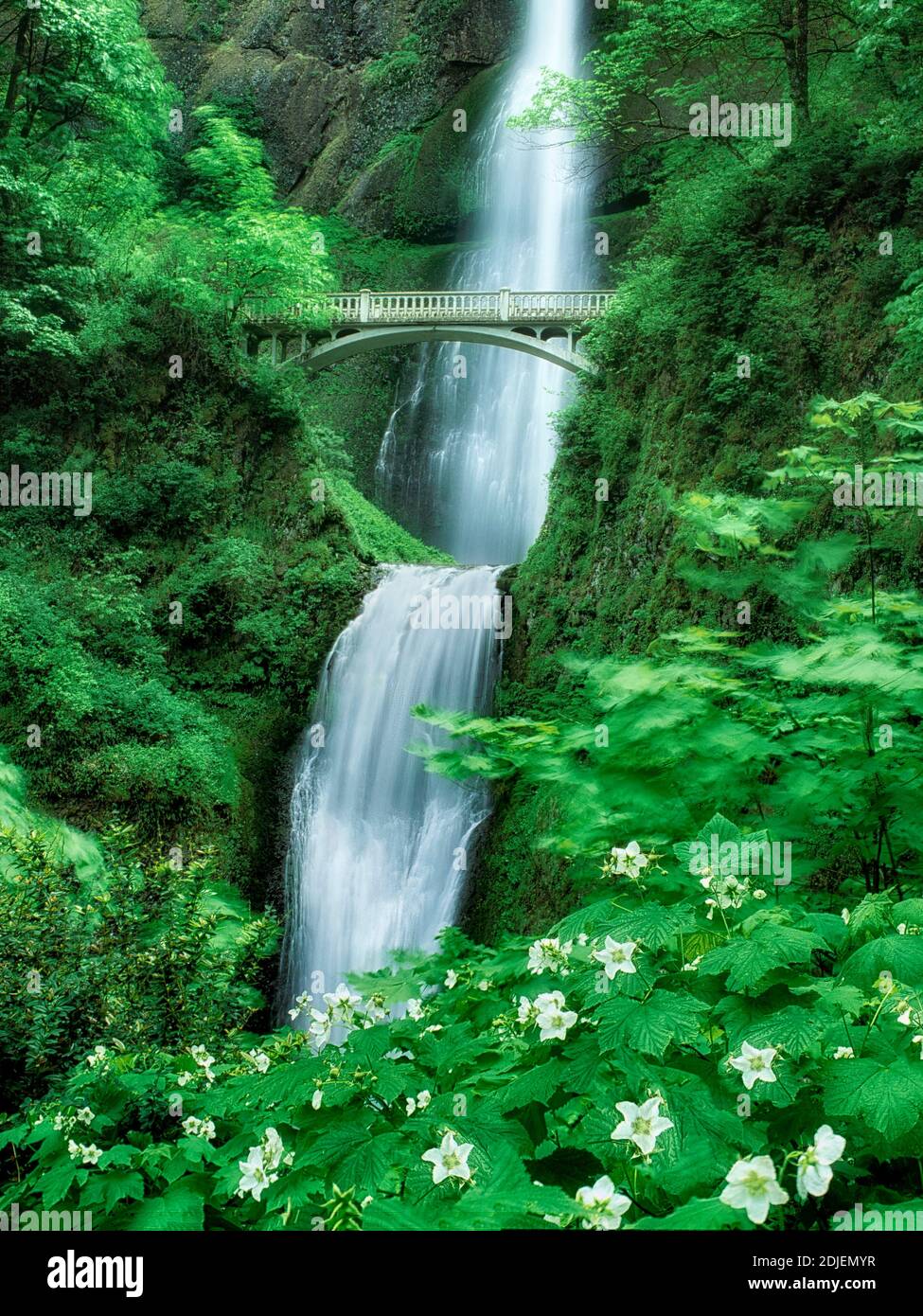 Multnomah Falls in spring. Oregon Stock Photo - Alamy