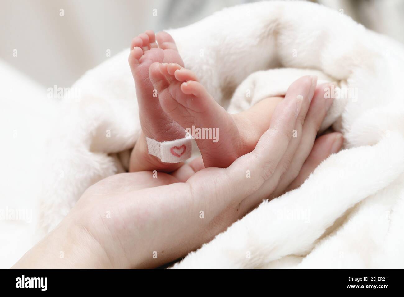 Hand holding newborn baby feet softness hi-res stock photography and ...