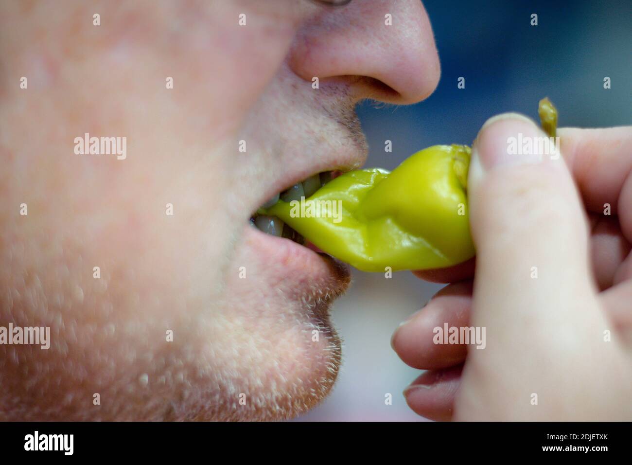 Man Eating Chili Pepper High Resolution Stock Photography and Images ...