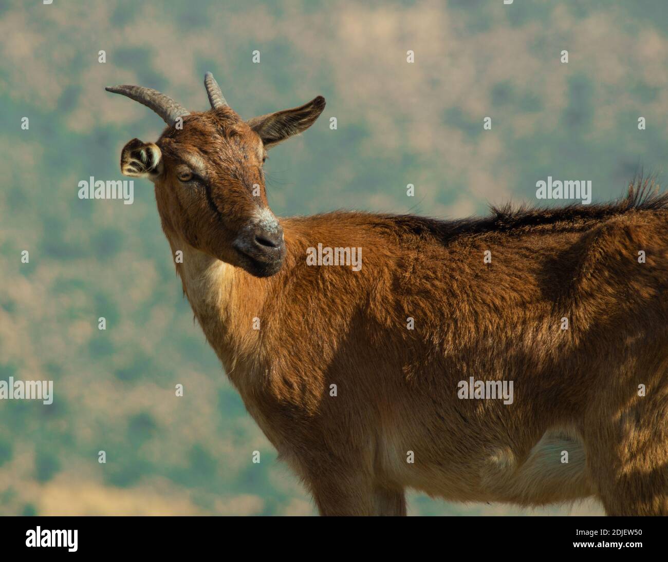 In agadir hi-res stock photography and images - Alamy