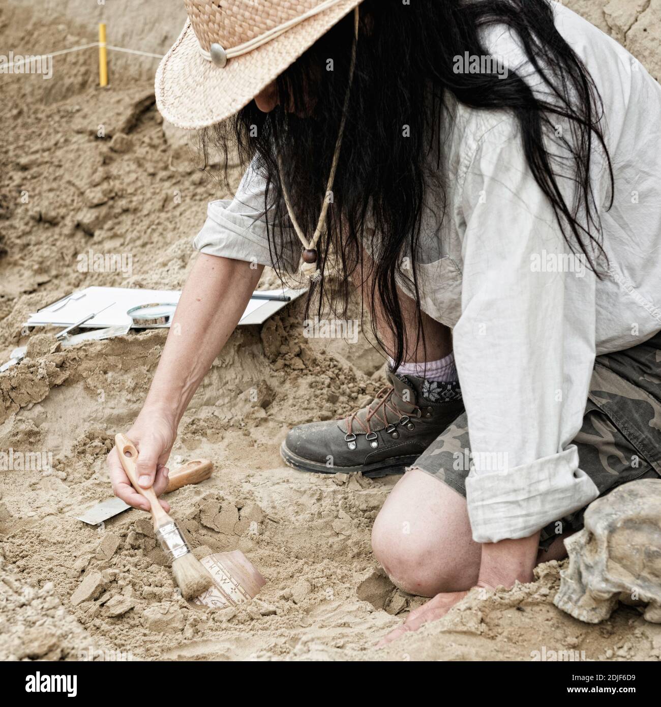 Paleontologist working hi-res stock photography and images - Alamy