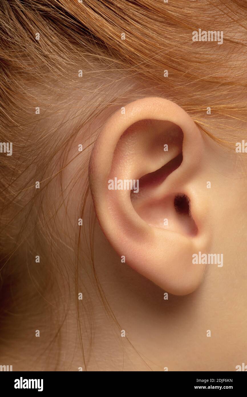 Ear. Close up portrait of beautiful redhair caucasian female model ...