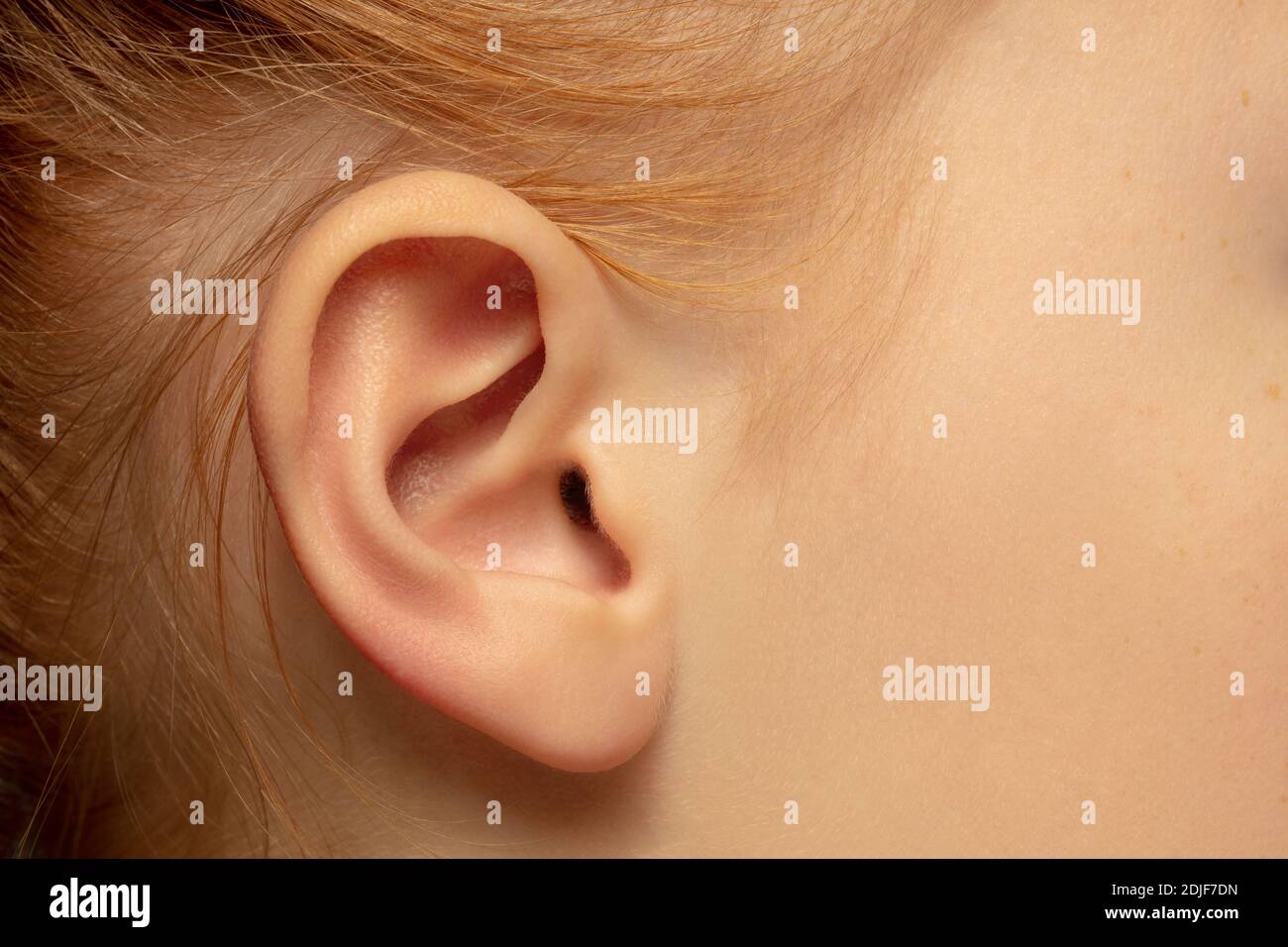 Ear. Close up portrait of beautiful redhair caucasian female model ...