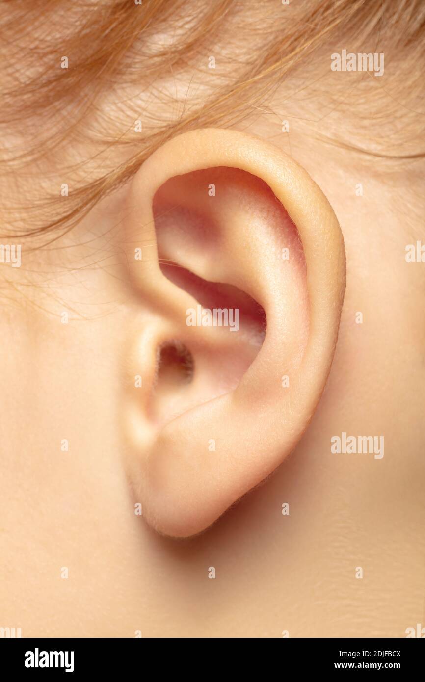 Ear. Close up portrait of beautiful redhair caucasian female model ...