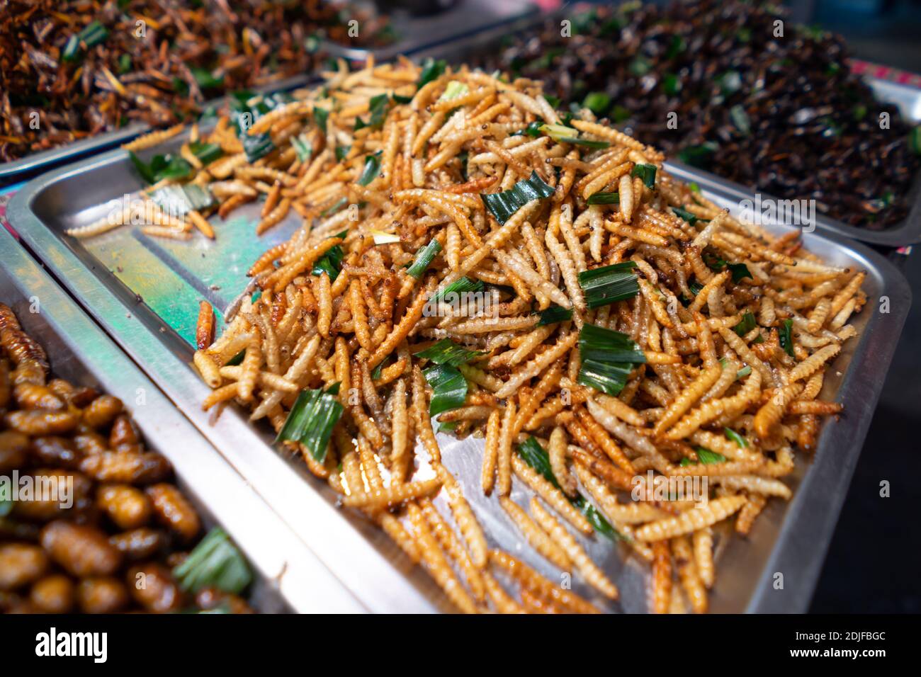 Bugs In Thai Market High Resolution Stock Photography and Images - Alamy