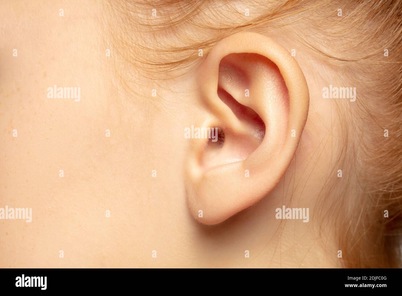 Ear. Close up portrait of beautiful redhair caucasian female model ...