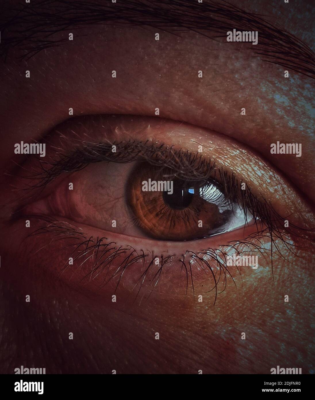 Smelling the camera lens hi-res stock photography and images - Alamy