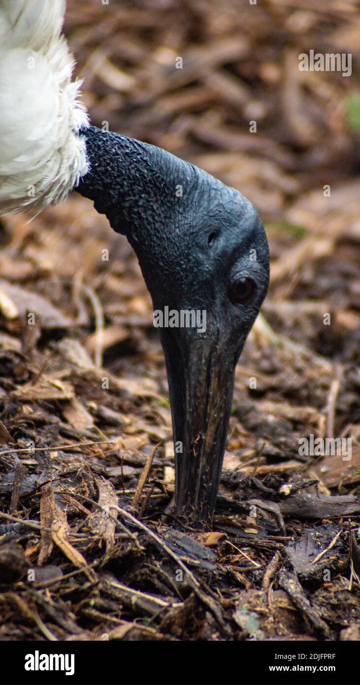 Ground deep house hi-res stock photography and images - Alamy