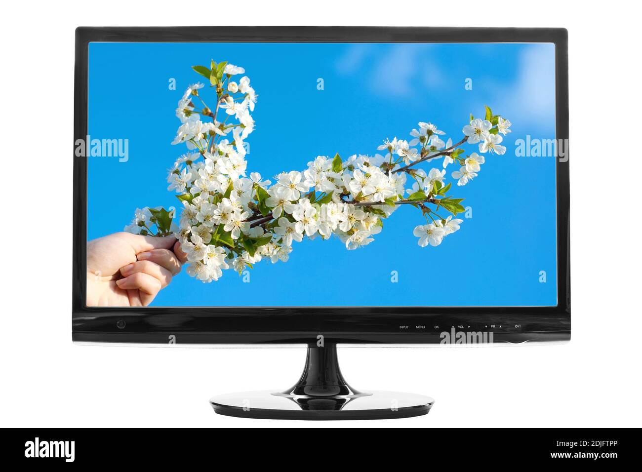 computer screen isolated on a white background Stock Photo - Alamy