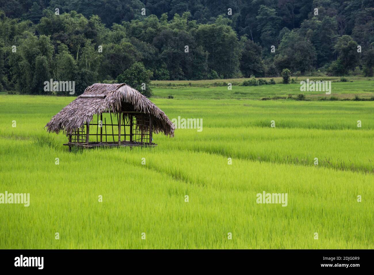 Putao myanmar landscape hi-res stock photography and images - Alamy