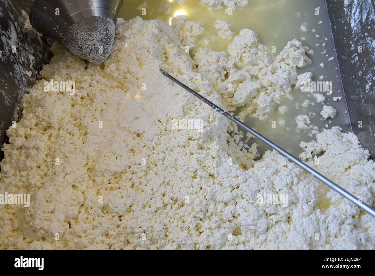 Curd of cow and goat milk with a stirrer and a strainer on top ...