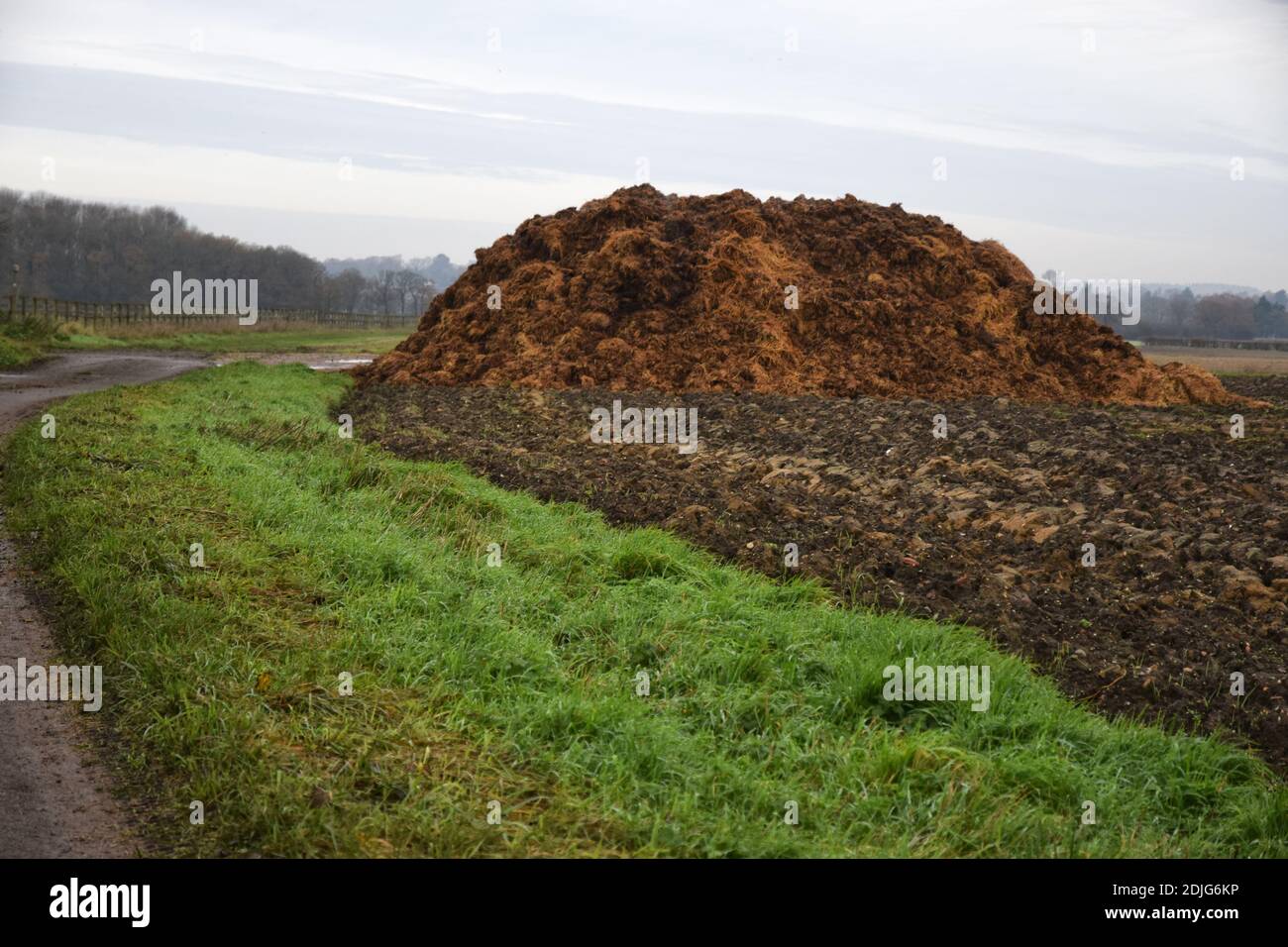 dung straw heap Stock Photo - Alamy