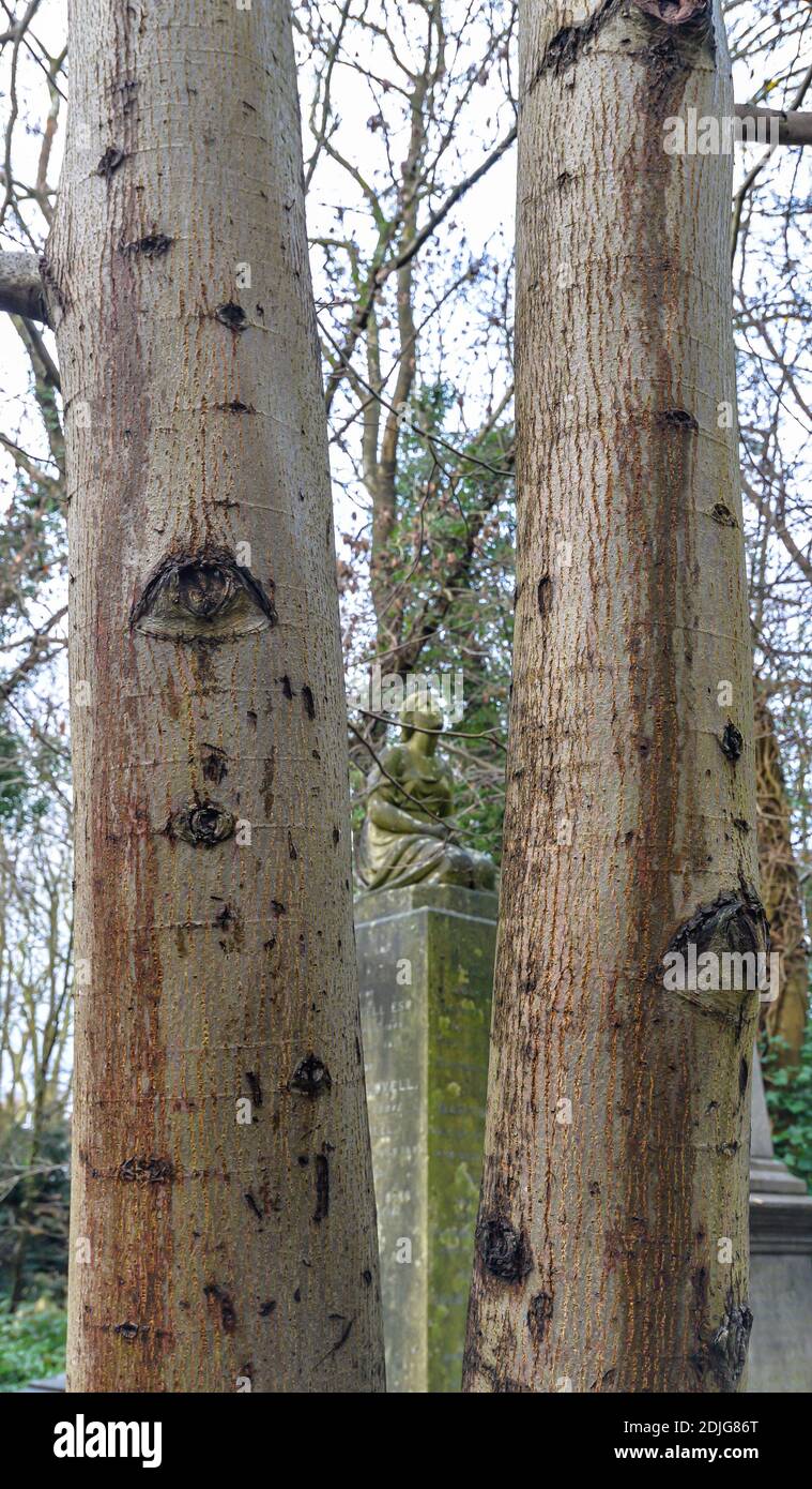 London/UK. 12.2.20. The grave of Lucien Freud in the atmospheric ...