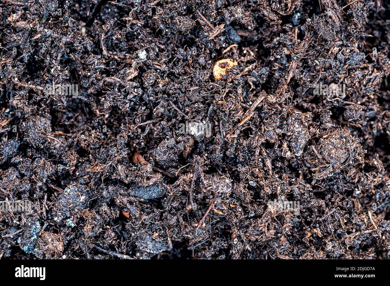 Rotted manure hi-res stock photography and images - Alamy