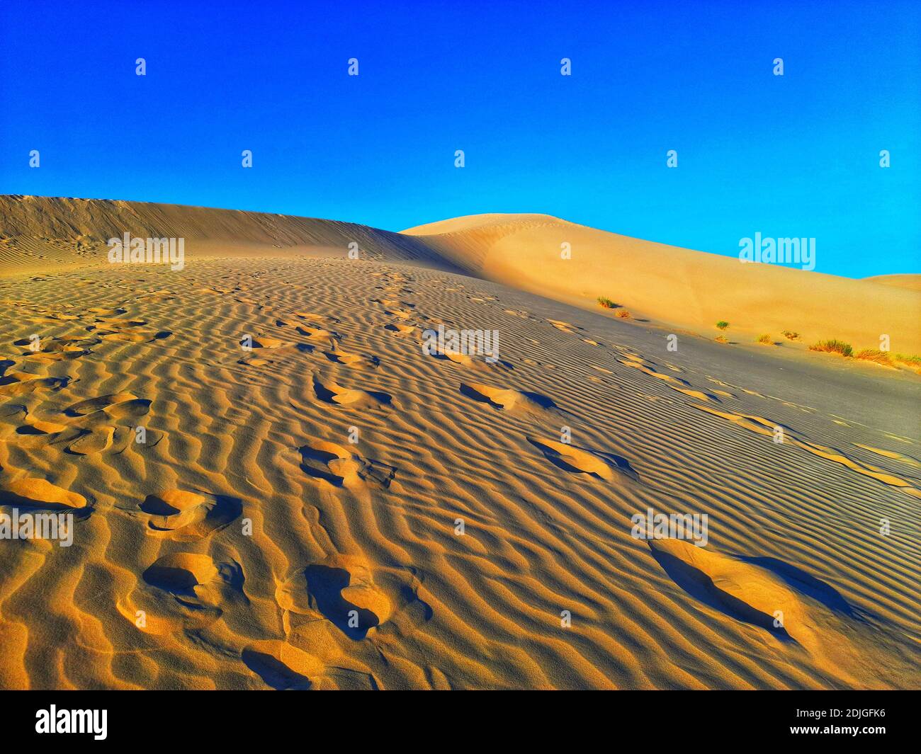 Algeria pattern hi-res stock photography and images - Alamy