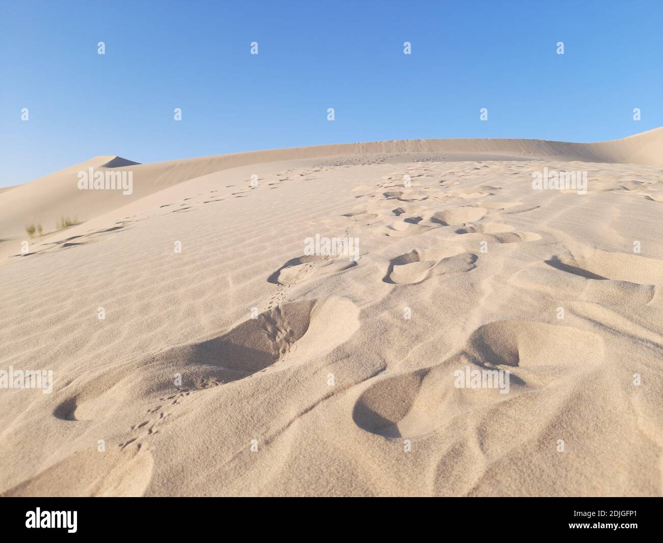 Human in desert hi-res stock photography and images - Alamy