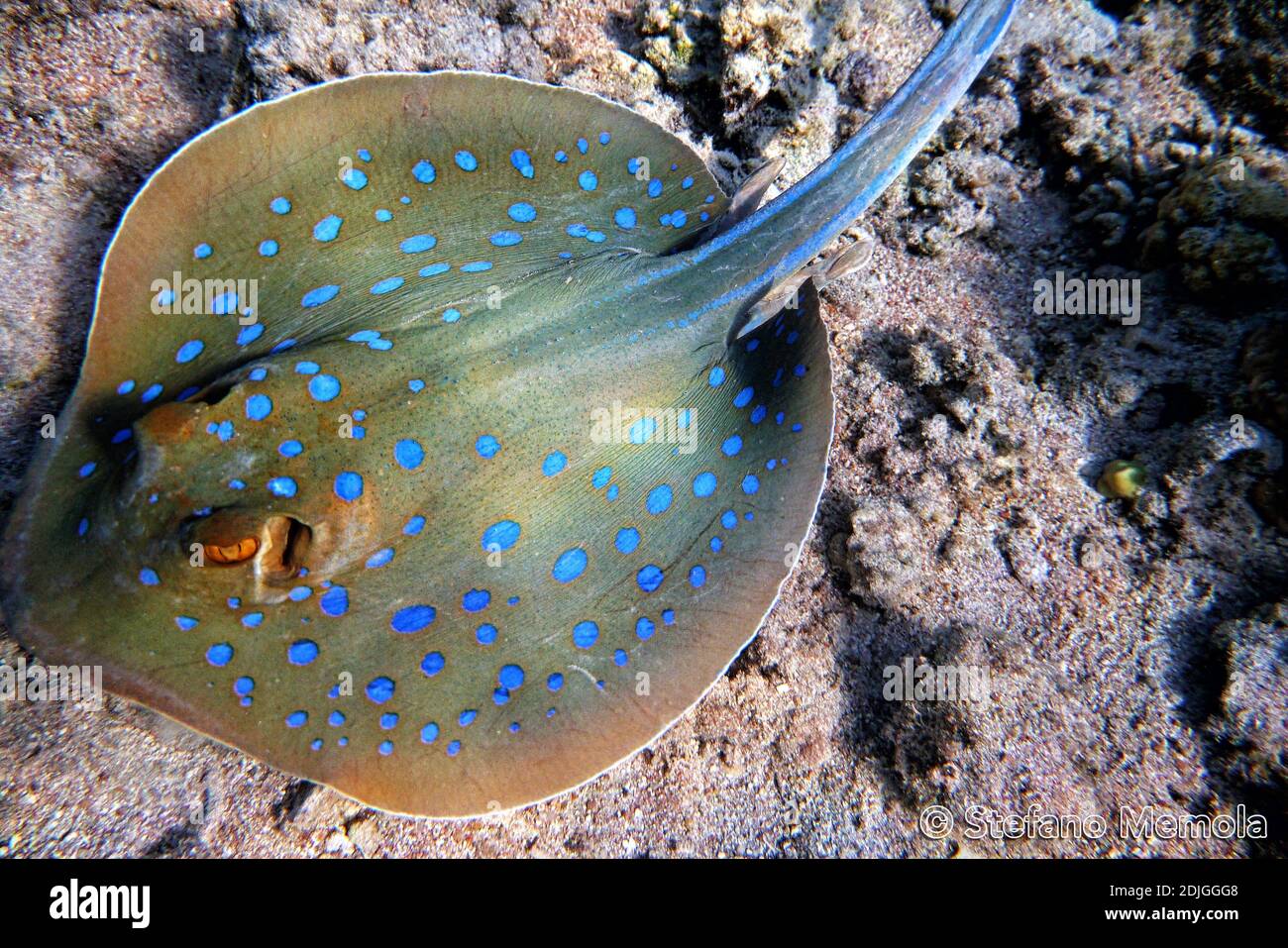 Trigone High Resolution Stock Photography and Images - Alamy