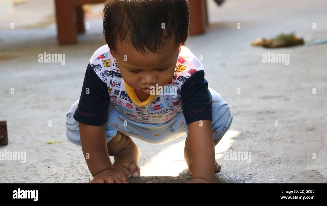 Crouching spider hi-res stock photography and images - Alamy