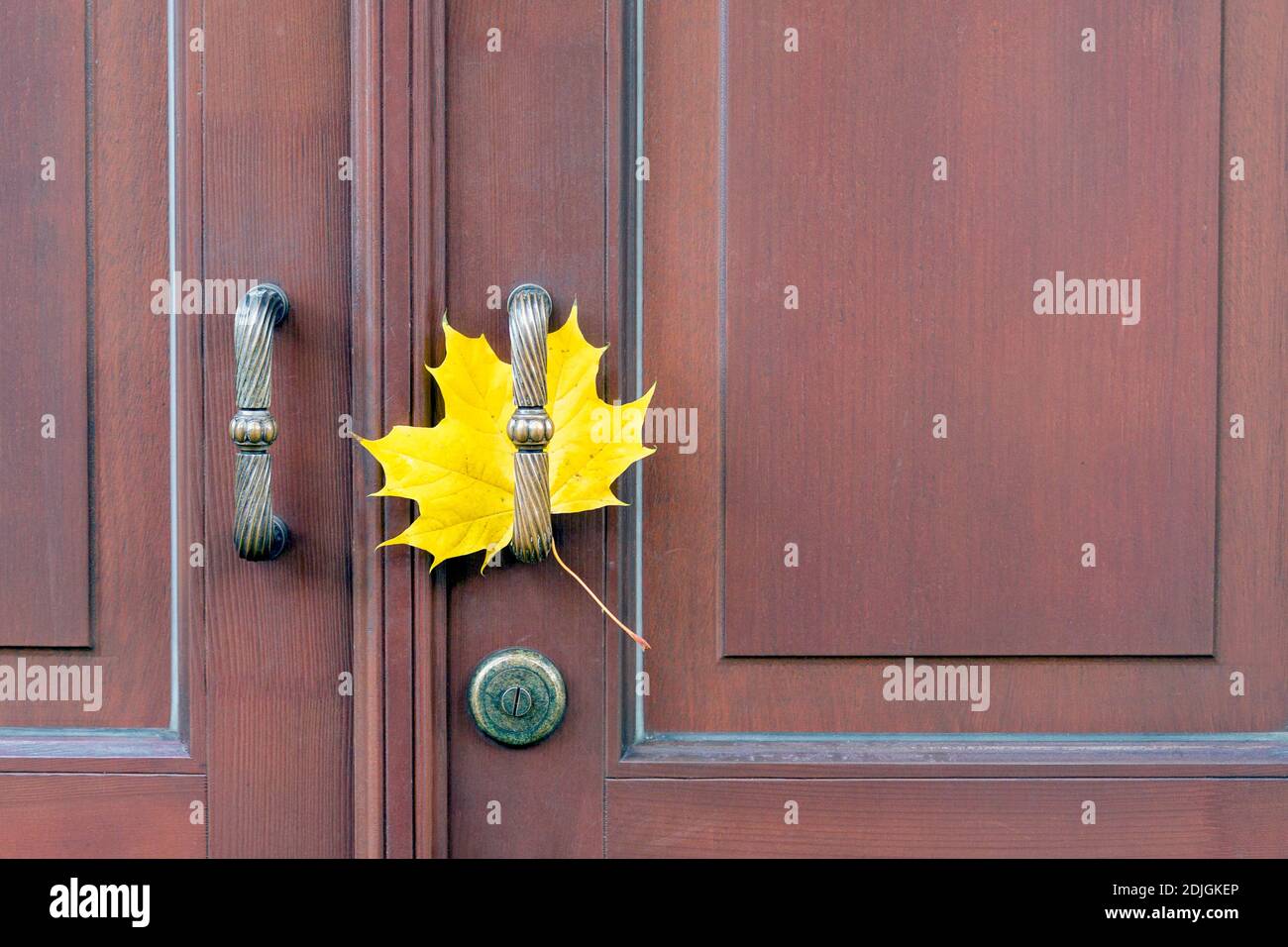 Lonely yellow maple leaf hanging on decorative handle of classic style ...
