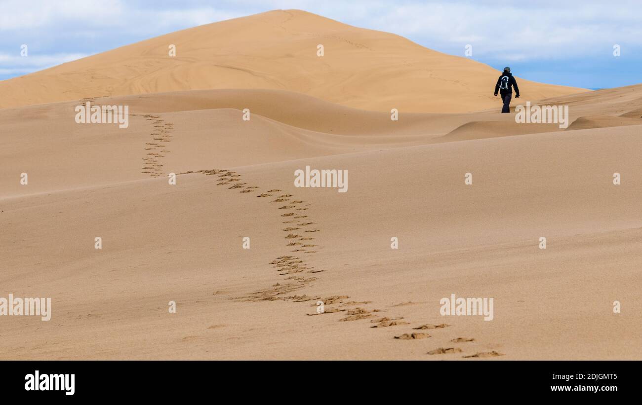 Low horizon paris hi-res stock photography and images - Alamy