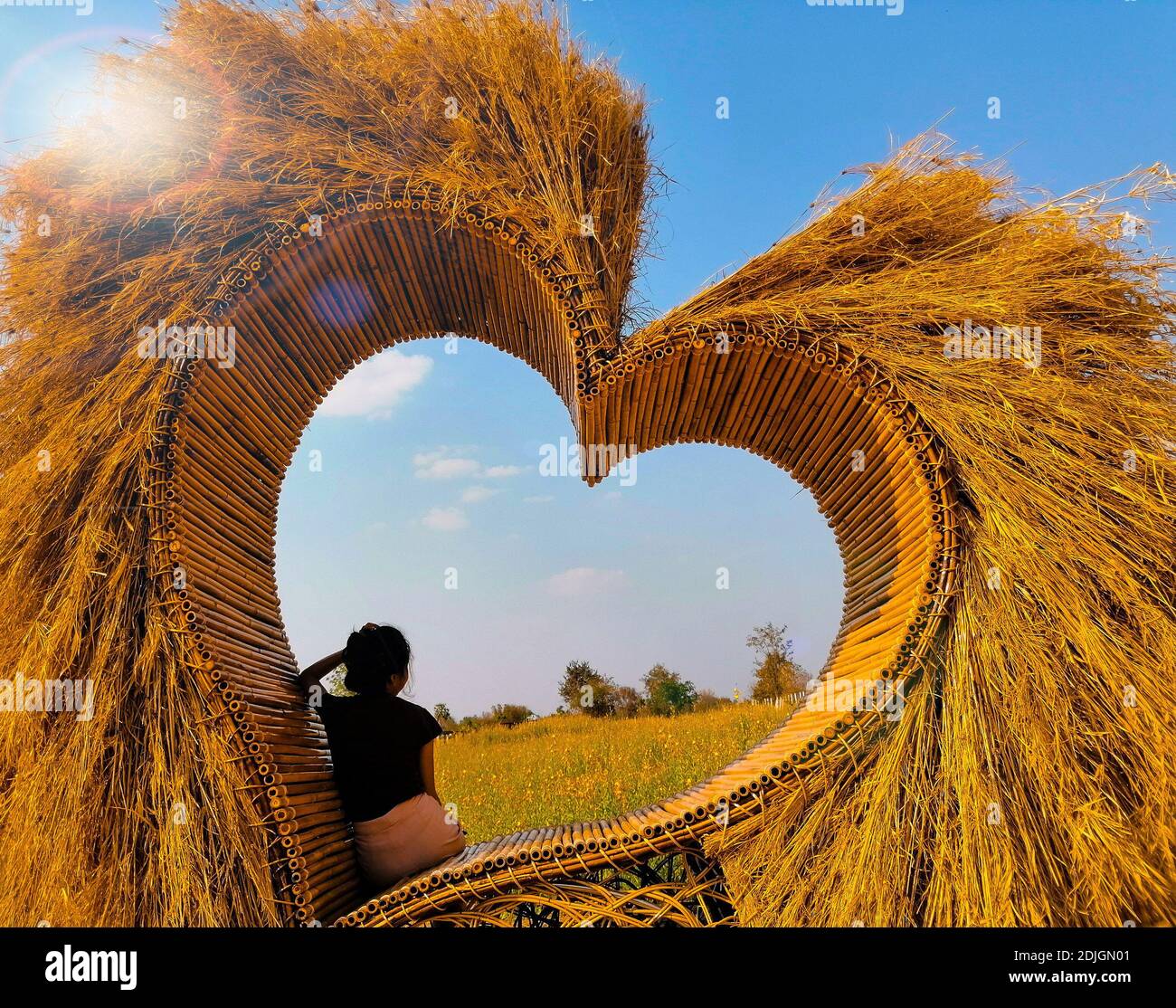 Thailand heart hi-res stock photography and images - Alamy
