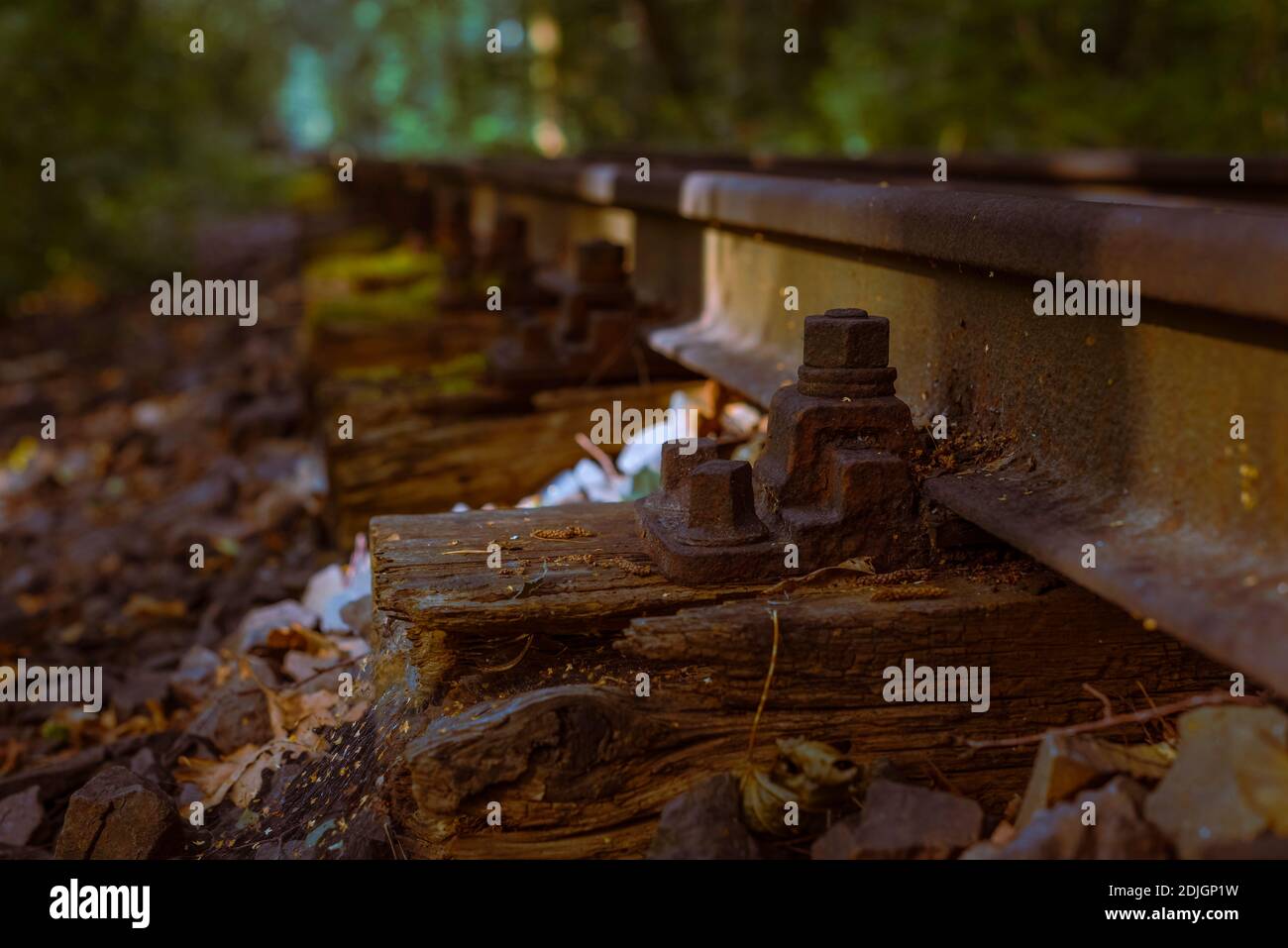 old rusty track in a forest, Old rotted wooden rail sleepers in a ...