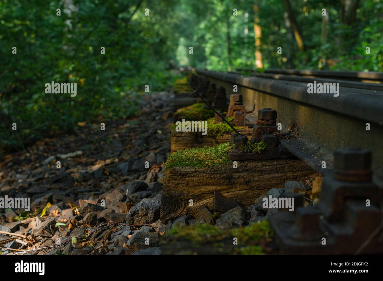old rusty track in a forest, Old rotted wooden rail sleepers in a ...