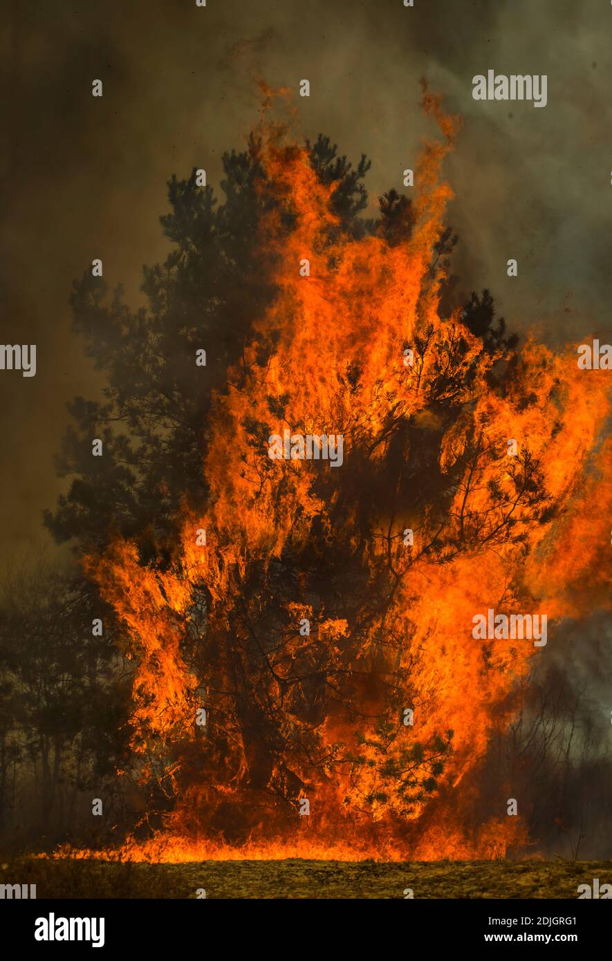 Chernobyl plant disaster hi-res stock photography and images - Alamy