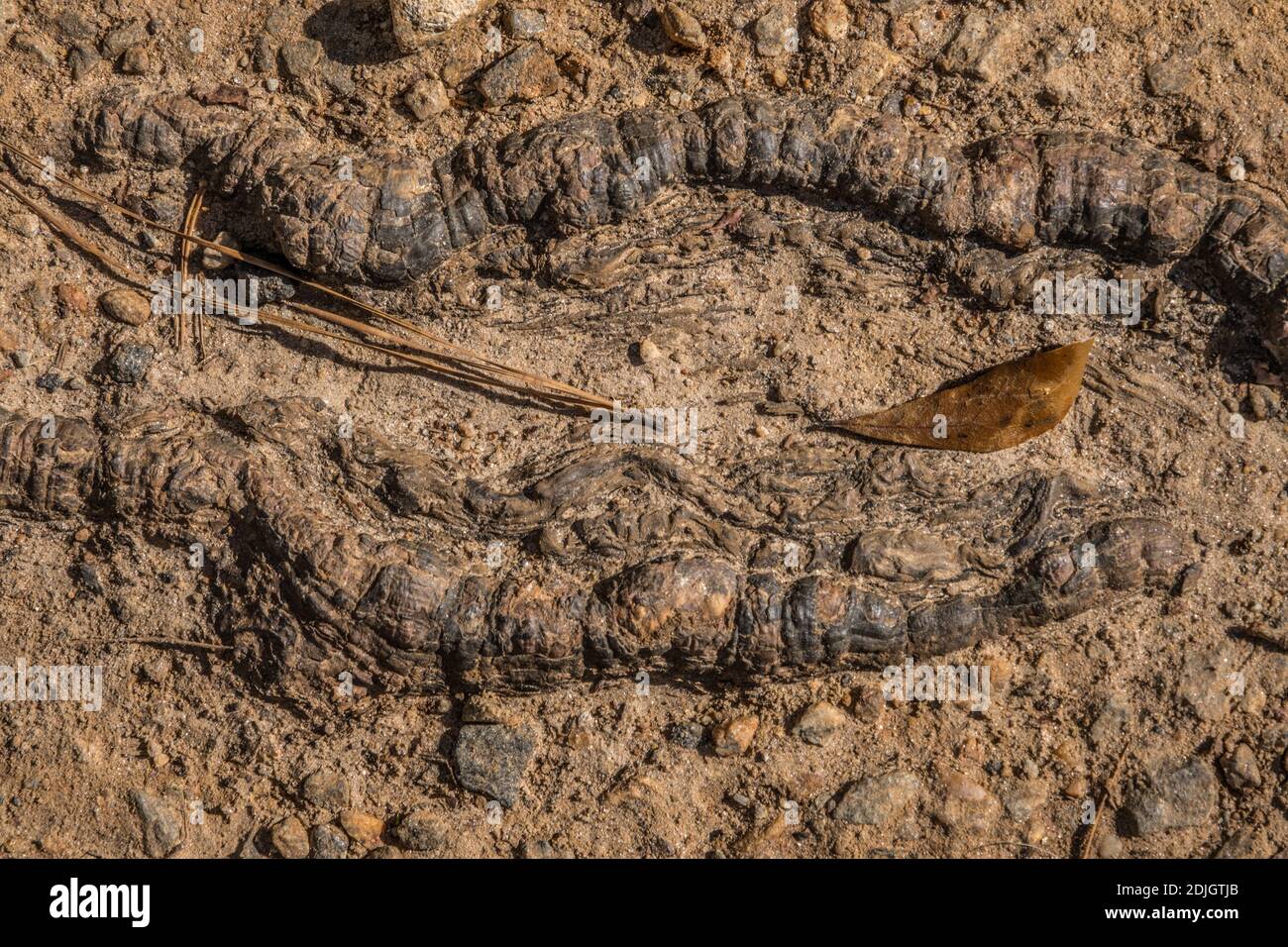 Curved top surface hi-res stock photography and images - Alamy