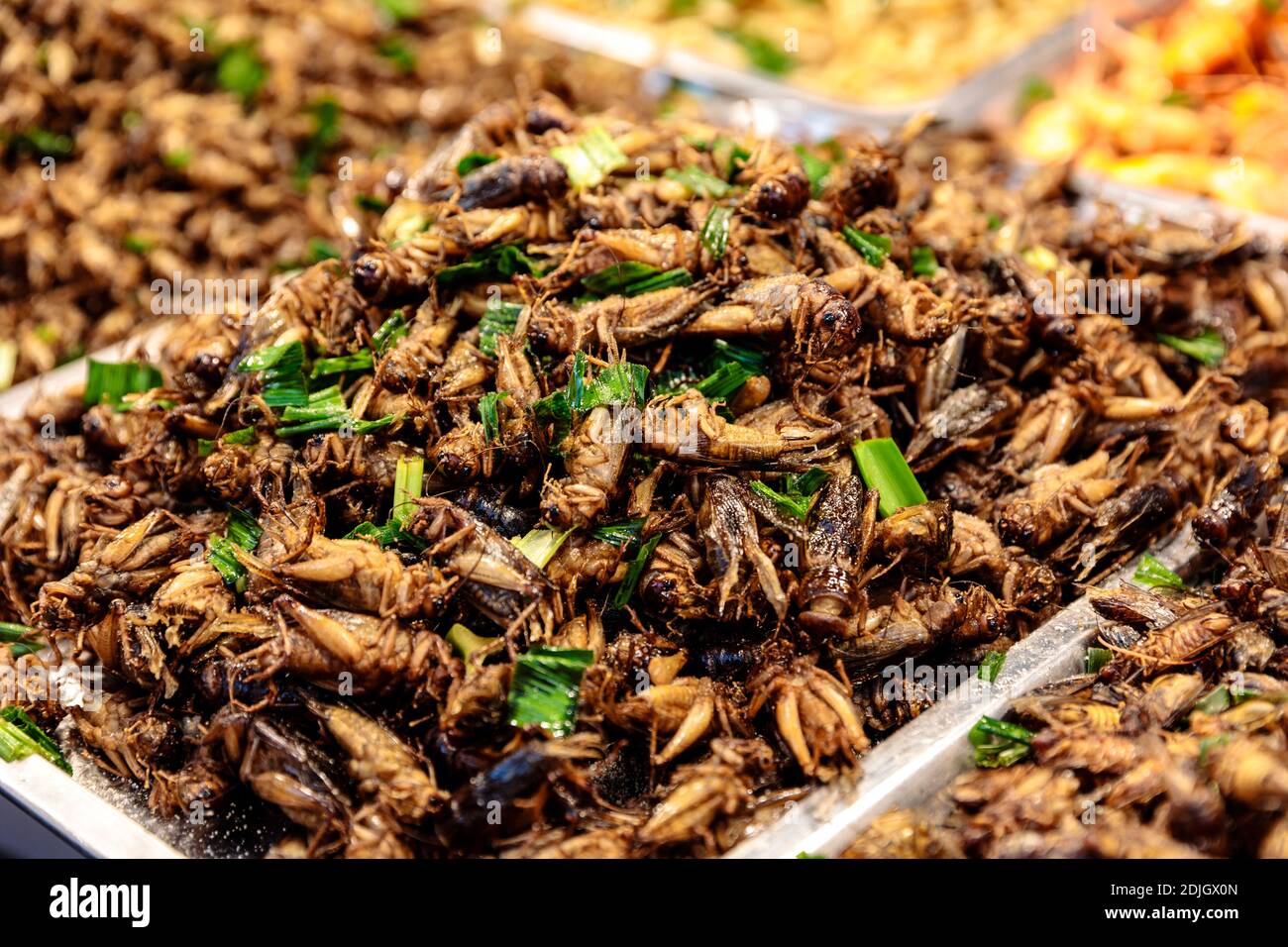 Cooked locusts hi-res stock photography and images - Alamy