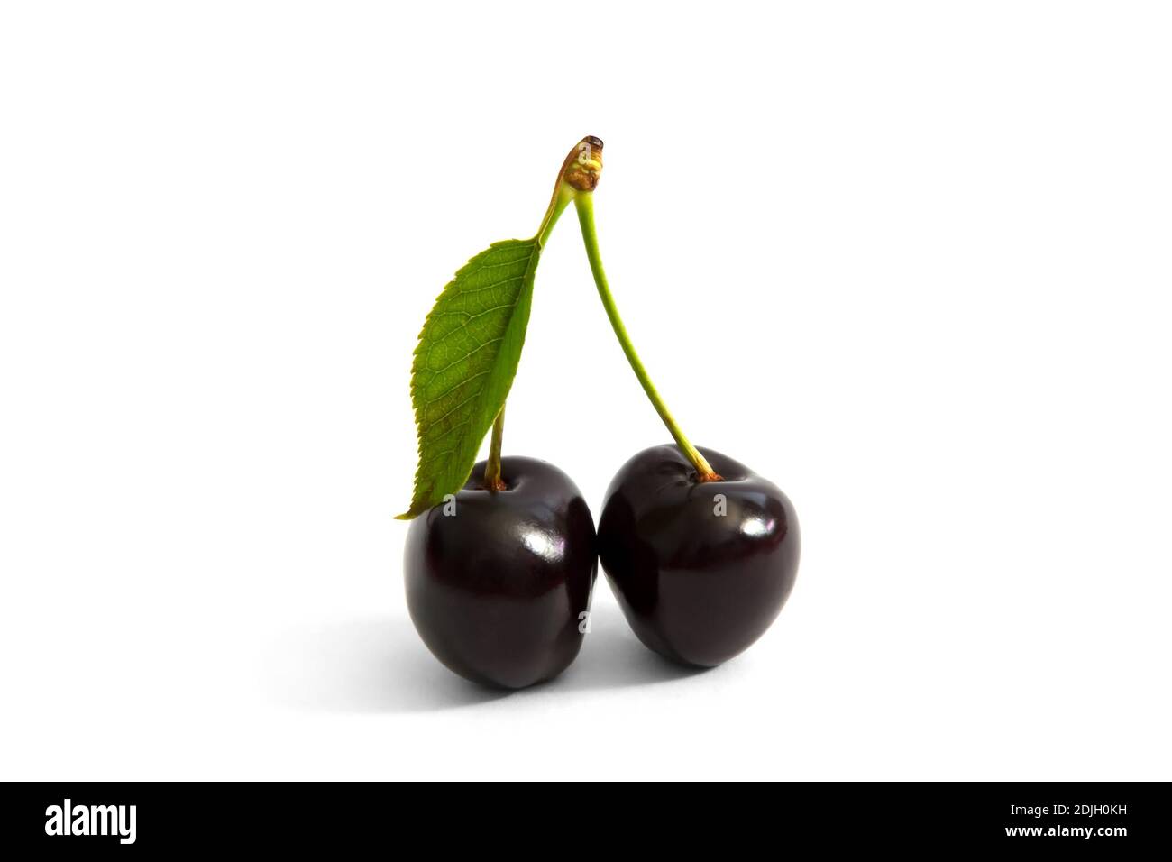 two cherries isolated on white background Stock Photo - Alamy