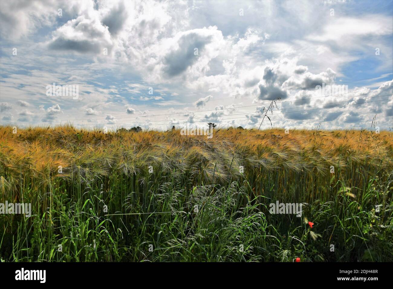 Padan plain hi-res stock photography and images - Alamy