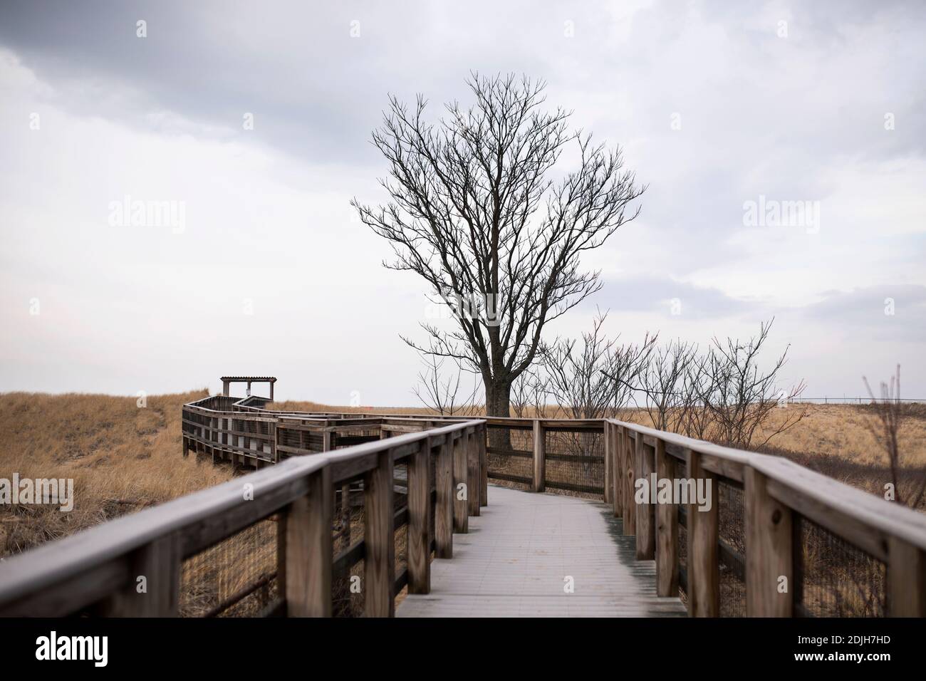 Boardwalk plum island massachusetts hi-res stock photography and images ...