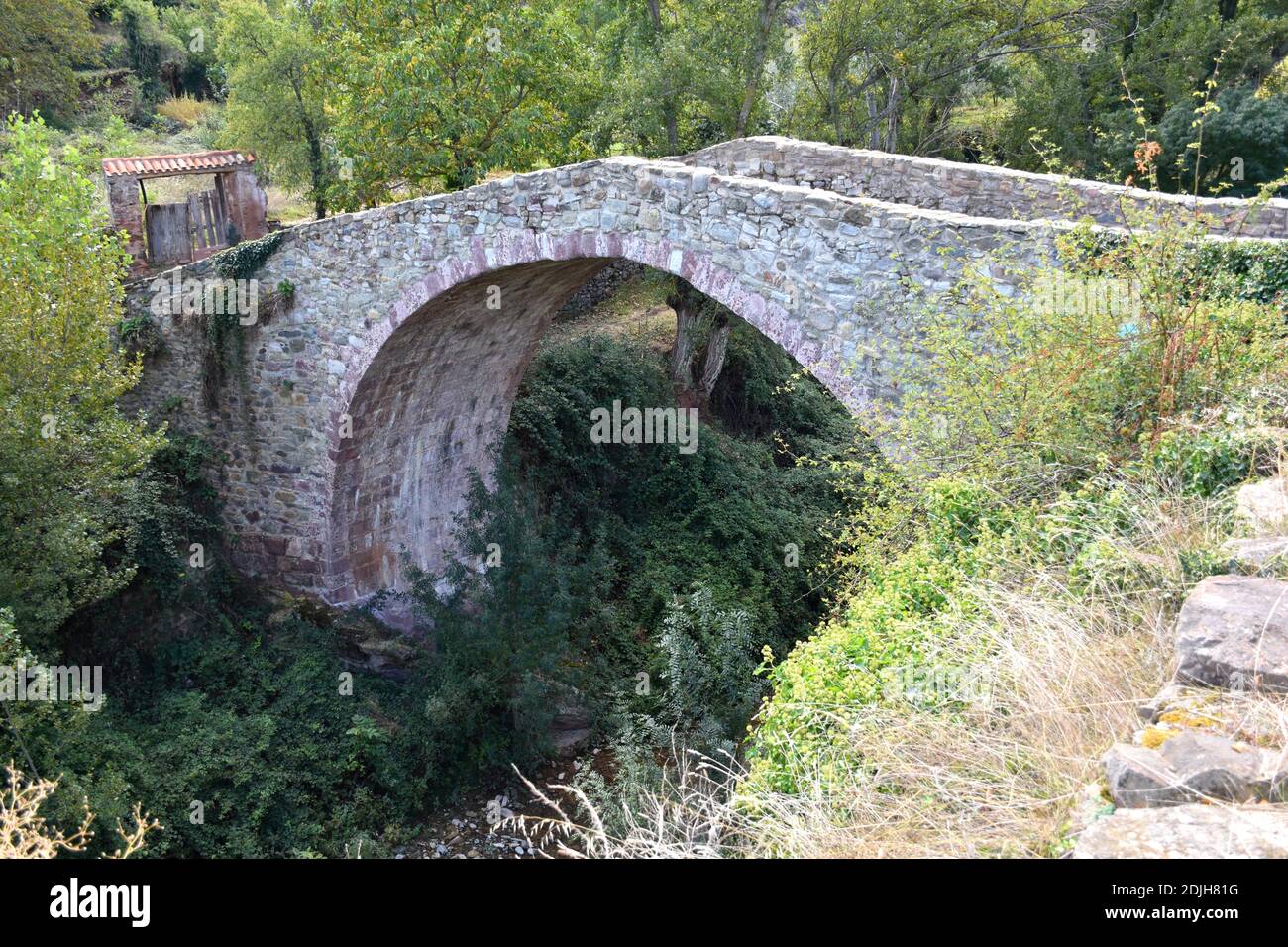 Medieval village bridge forest hi-res stock photography and images - Alamy