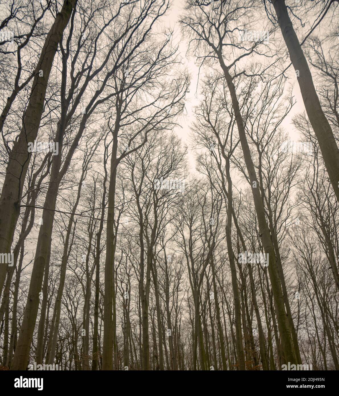 Austria Wienerwald High Resolution Stock Photography and Images - Alamy
