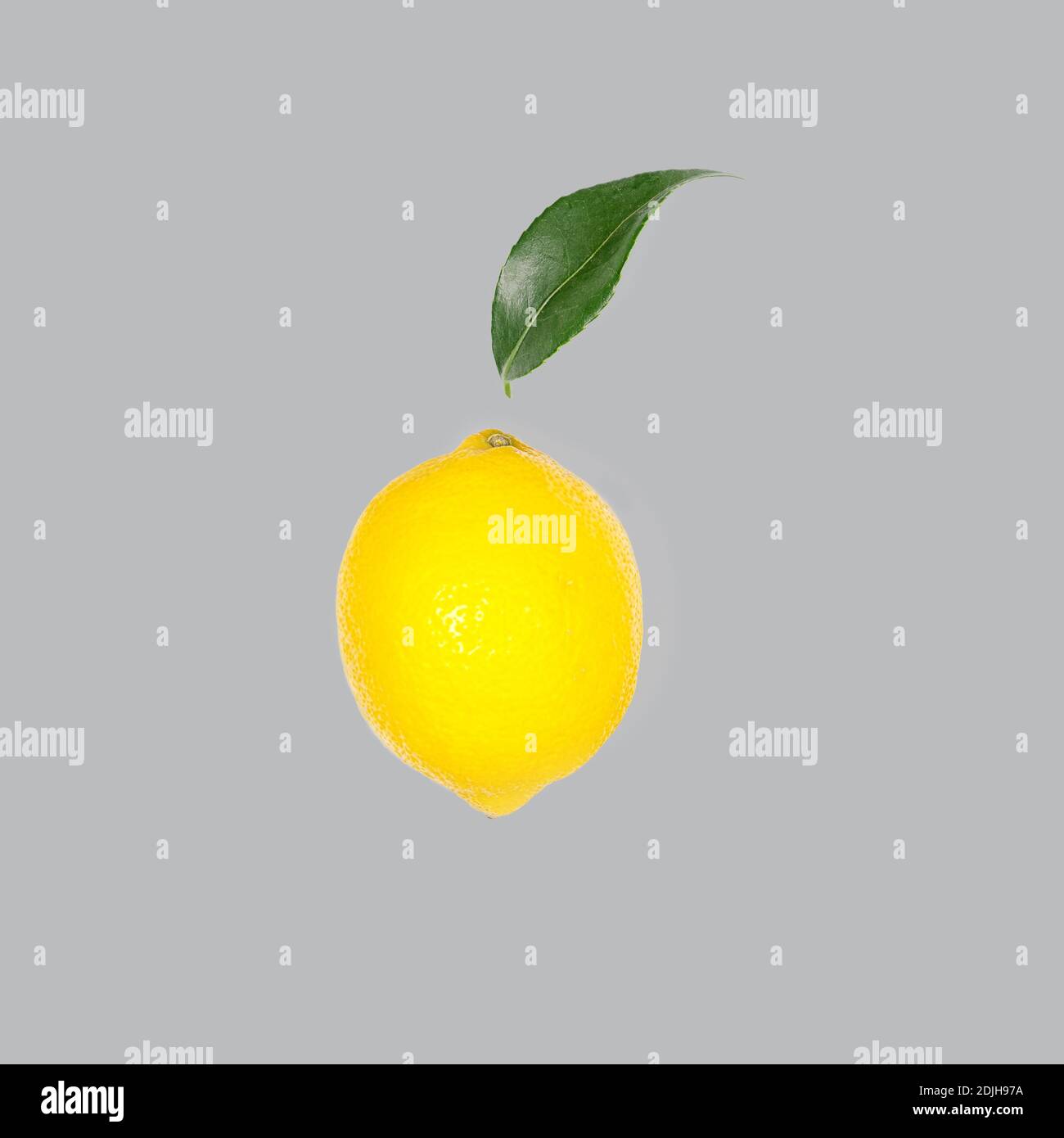 Creative layout made of bright illuminating yellow lemon on gray color ...